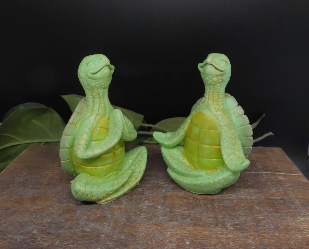 Turtles and Tortoises – Secret Desert Soapworks